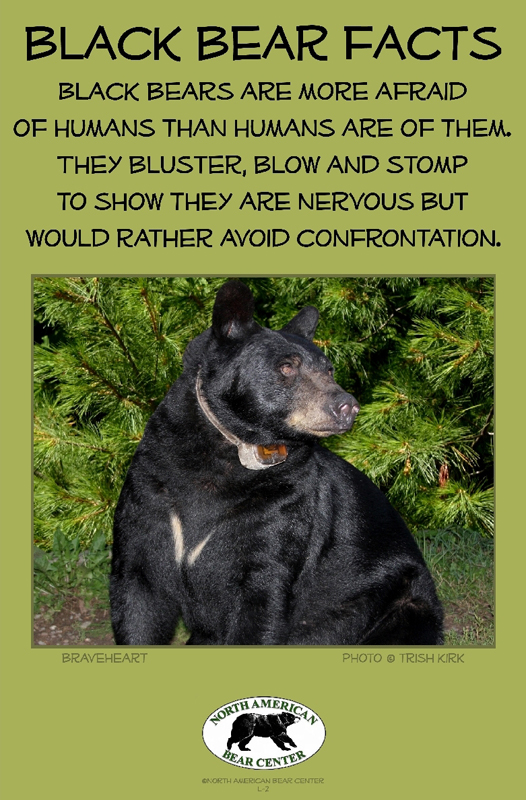 Black Bear Boxes - The Wildlife Research Institute