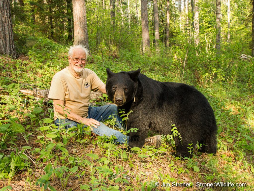Lynn Rogers, Ph.D. - The Wildlife Research Institute