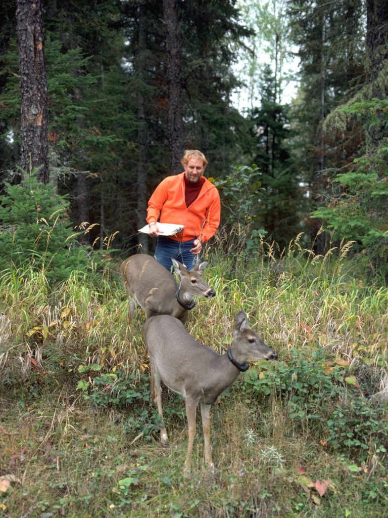 Lynn Rogers, Ph.D. - The Wildlife Research Institute