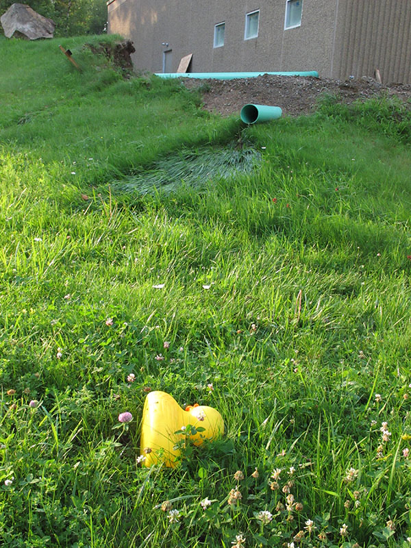 Ted – UPDATE August 21, 2013 - The Wildlife Research Institute