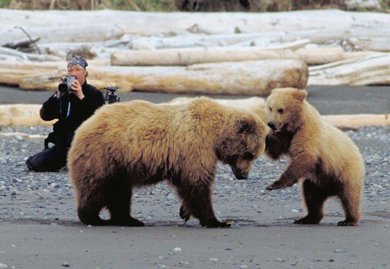 timothy treadwell