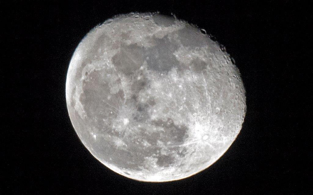 Bear Moon - UPDATE January 15, 2017 - The Wildlife Research Institute