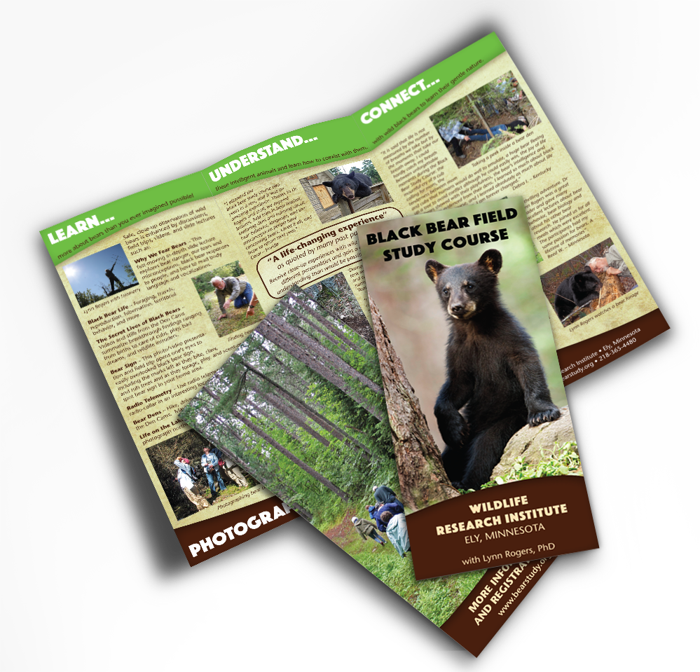 Bears, Deer, GiveMN, and Black Bear Field Course Registration - UPDATE ...